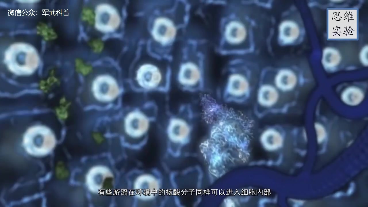 新型冠状病毒有多可怕?