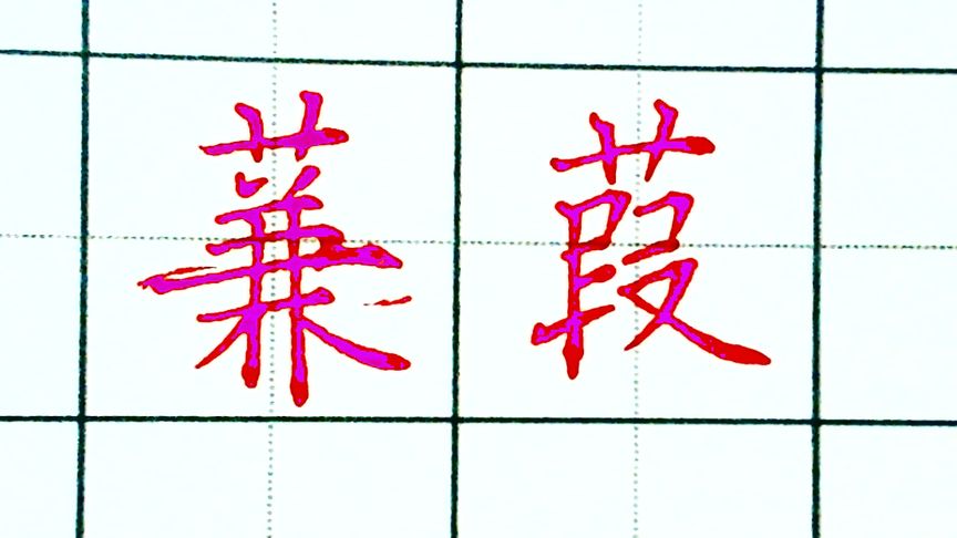 硬笔楷书蒹字与葭字的写法,都说没有三五年的功夫写不好这两个字