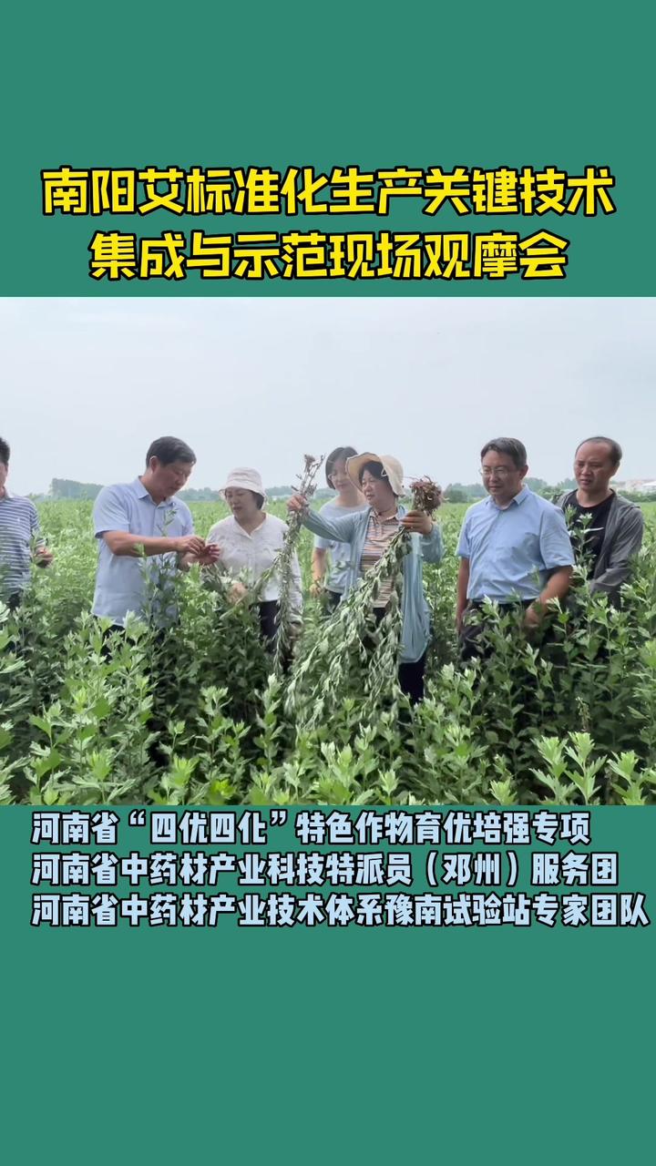 河南省“四优四化”科技支撑行动计划南阳艾标准化生产关键技术集成...