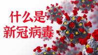 新冠病毒大百科 少儿科普 第2集 什么是新冠病毒
