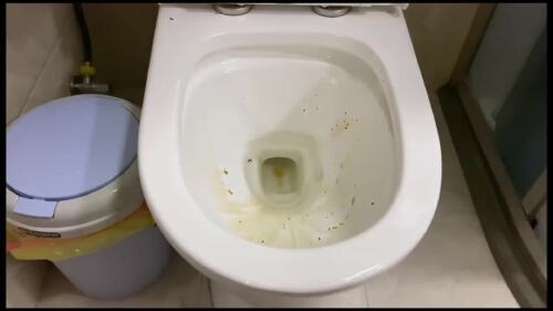 马桶里撒上一把它,不管多脏多厚的黄渍,一冲就干净,省钱小妙招