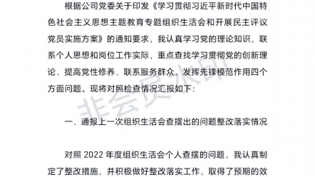 2023年度主题教育专题组织生活会个人对照检查(通报上一次上年度...