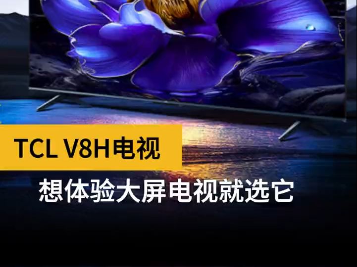 想体验大屏幕电视就选他,TCL V8H电视