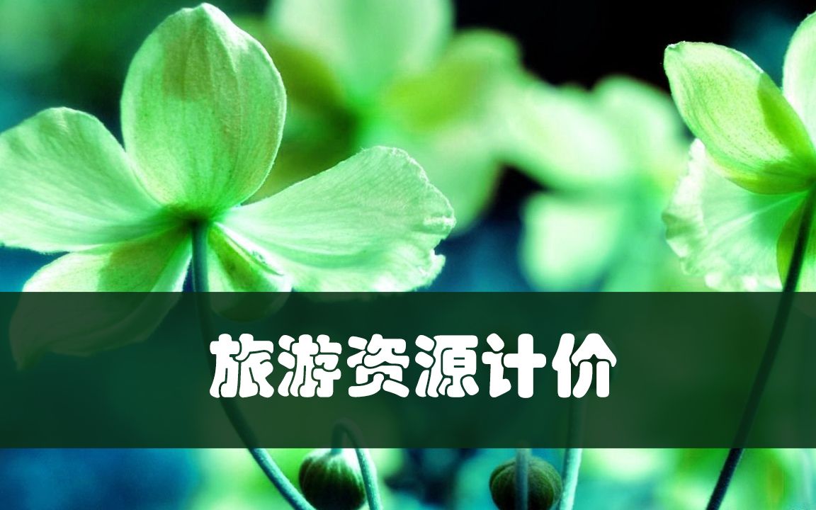 旅游资源计价