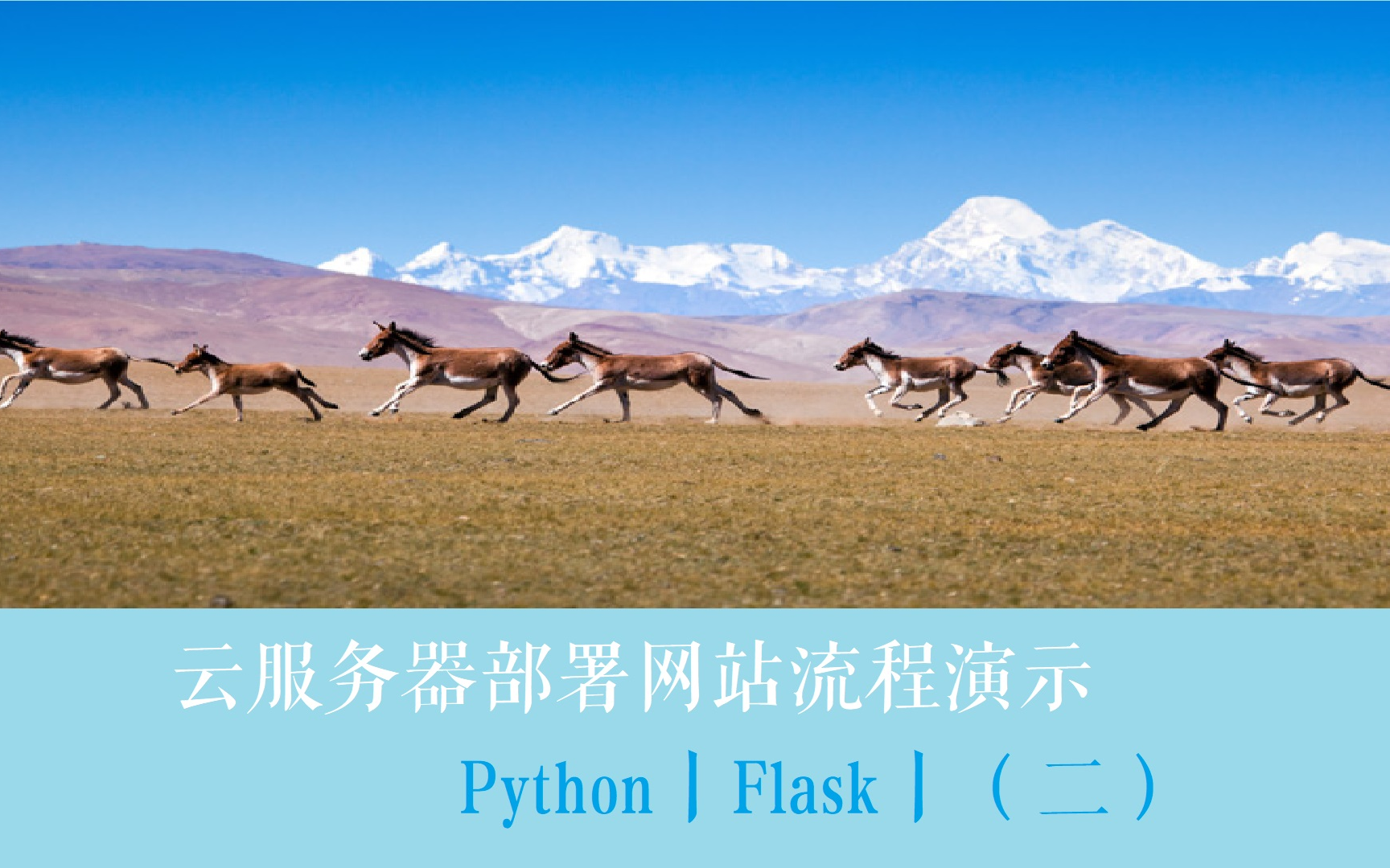 如何在云服务器部署一个带域名的网站?丨5行代码搭建网站(二)Python...