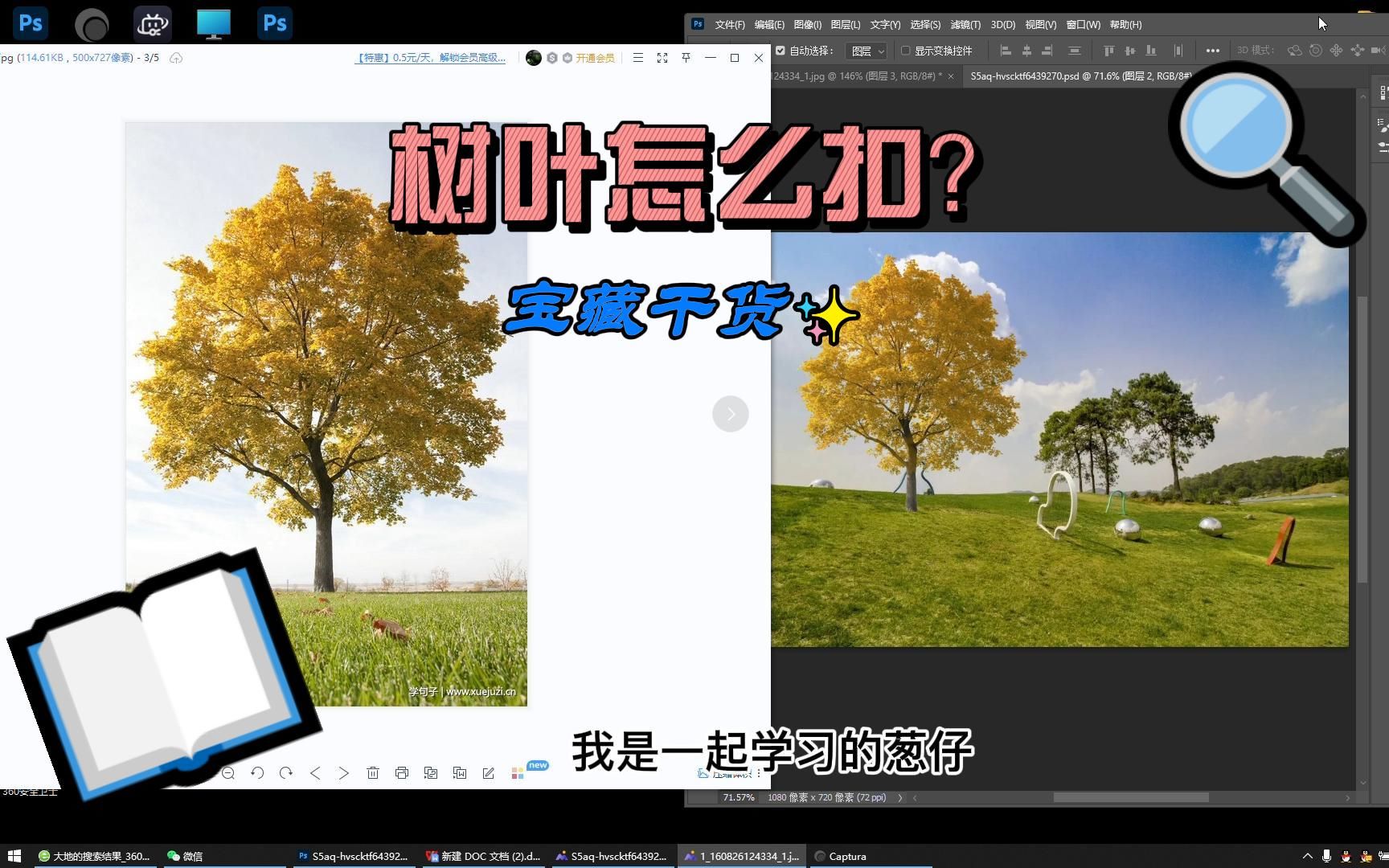 ps教程2:通道抠图大树!树叶这样抠,移到景色照片中非常美!