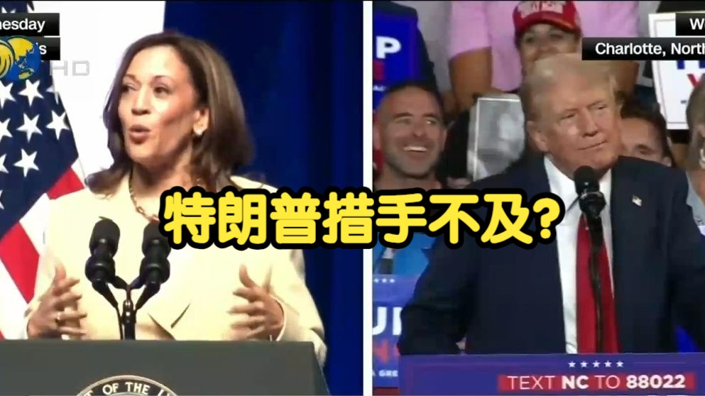 美共和党:哈里斯实力让特朗普措手不及,他找不到有效打击的议题