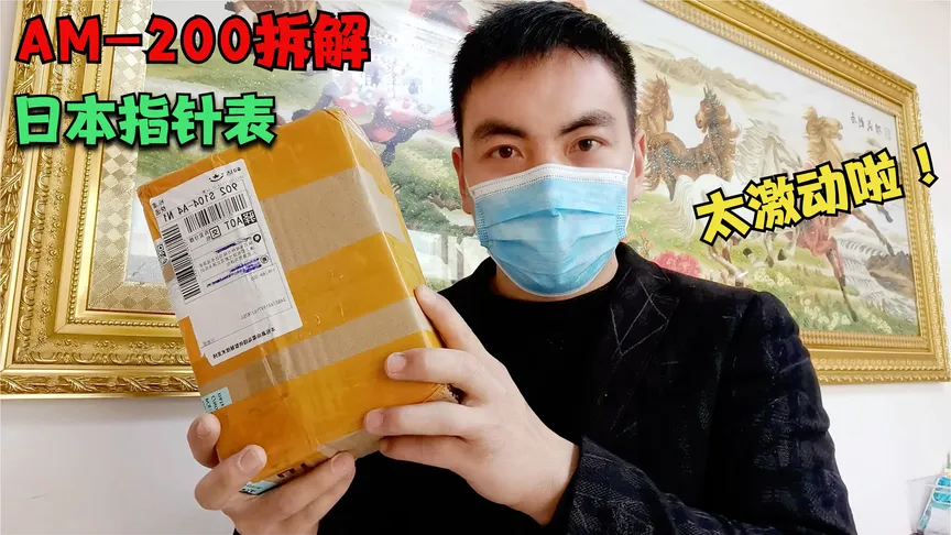 老铁送的日本三和AM-200指针式万用表拆箱!拆解后才发现区别真大