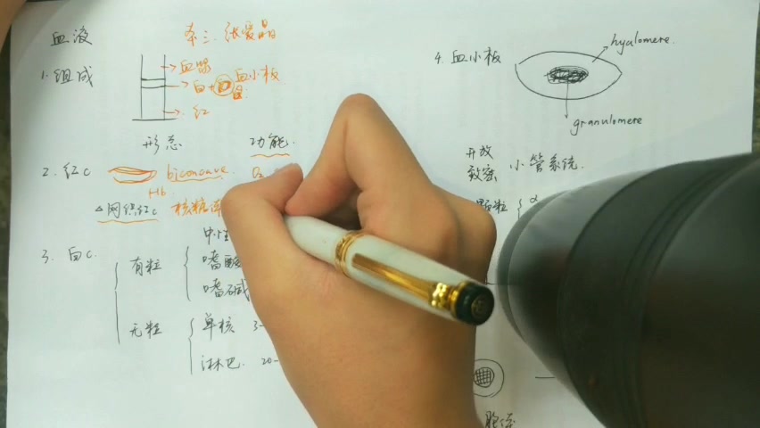 形态学概论(组织+病理)