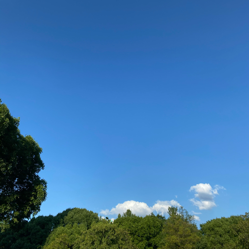 数学岛屿 