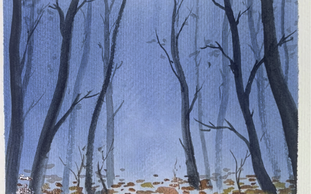 水彩森林的画法,通过深浅变化来让森林有空间感～零基础也能学会噢
