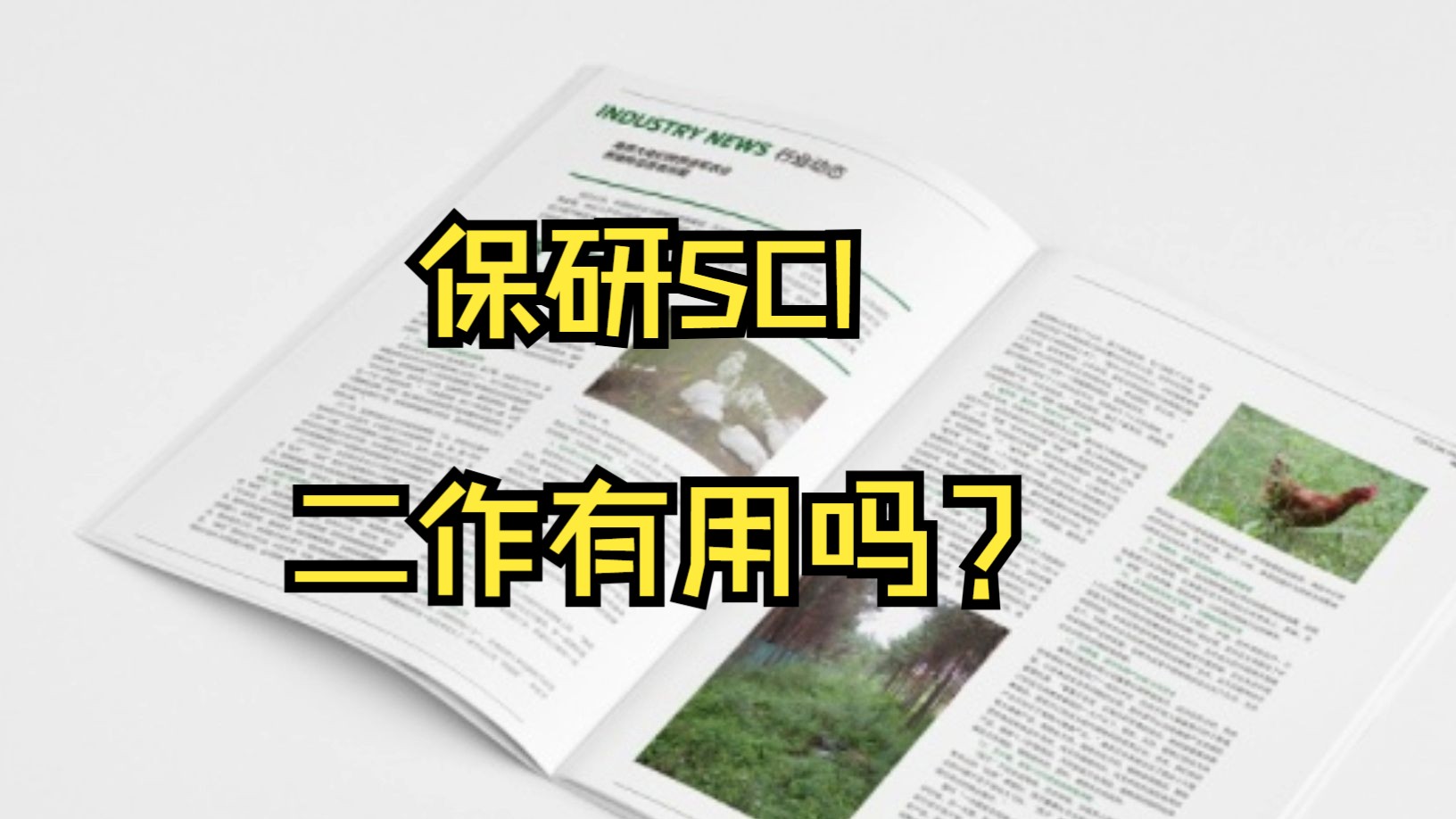 保研SCI二作有用吗?