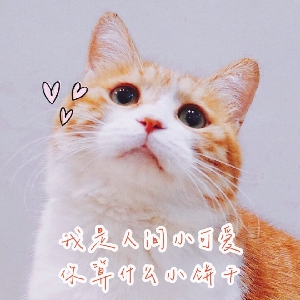 一木難支 