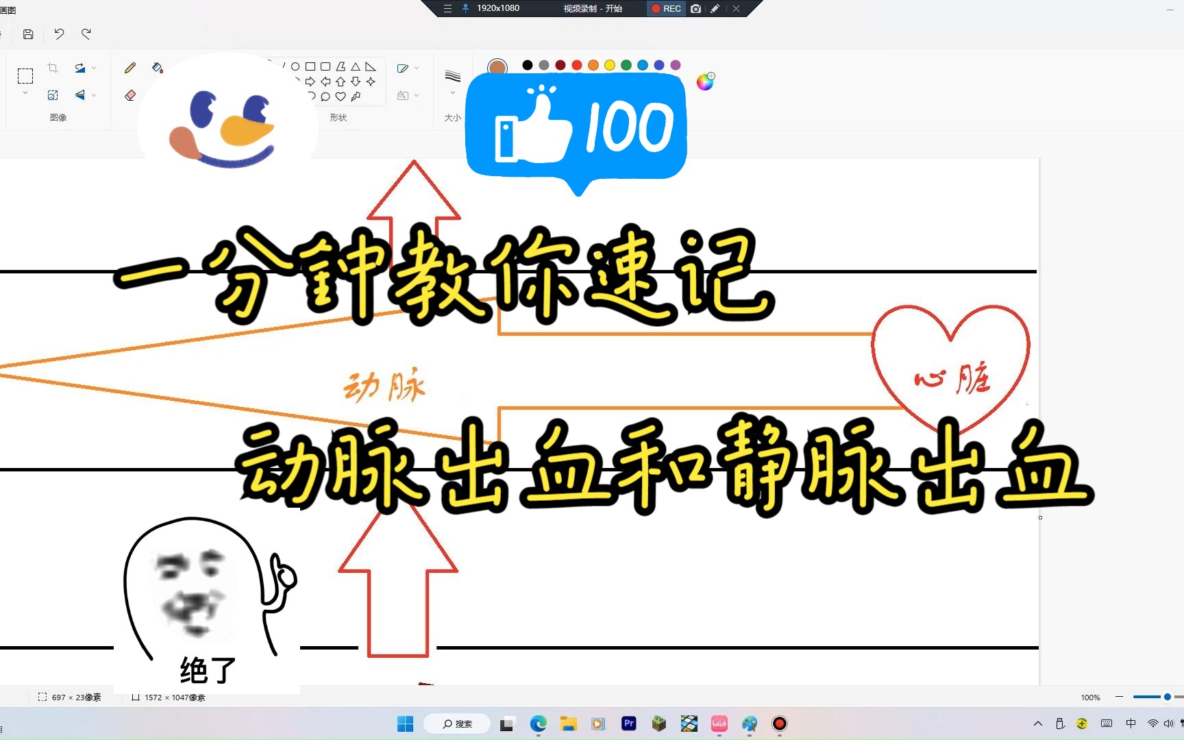 一分钟初二生物| 用药与急救—出血与止血