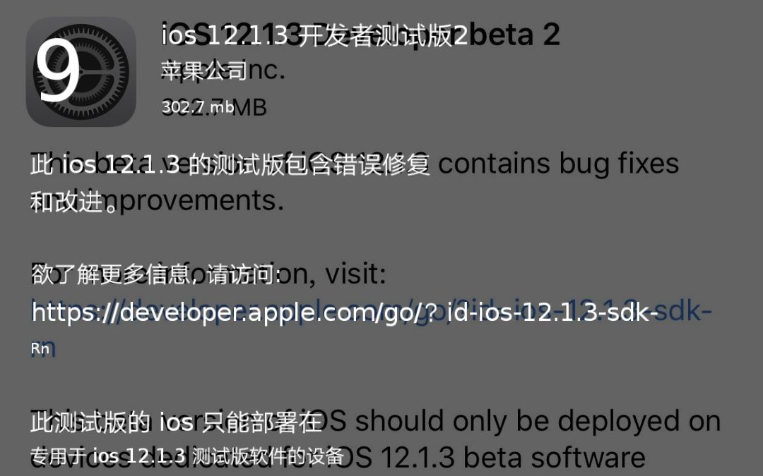 苹果 SE 运行 IOS 12.1.3 Beta 2(16D5032a)概况