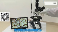 睿鸿生物显微镜标本切片套装动物植物细胞玻璃载玻片实验儿童学生