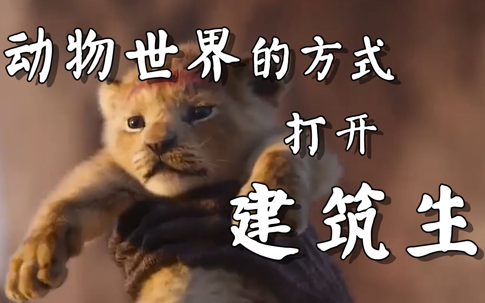 【建筑学】以动物世界的方式打开建筑生,一本正经地胡说八道