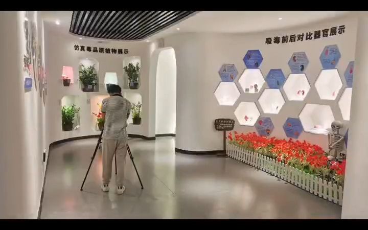 禁毒宣传展品:仿真毒品原植物模型