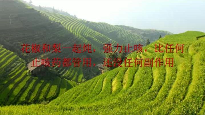 花椒和梨一起炖,强力止咳,比任何止咳药都管用,还没任何副作用