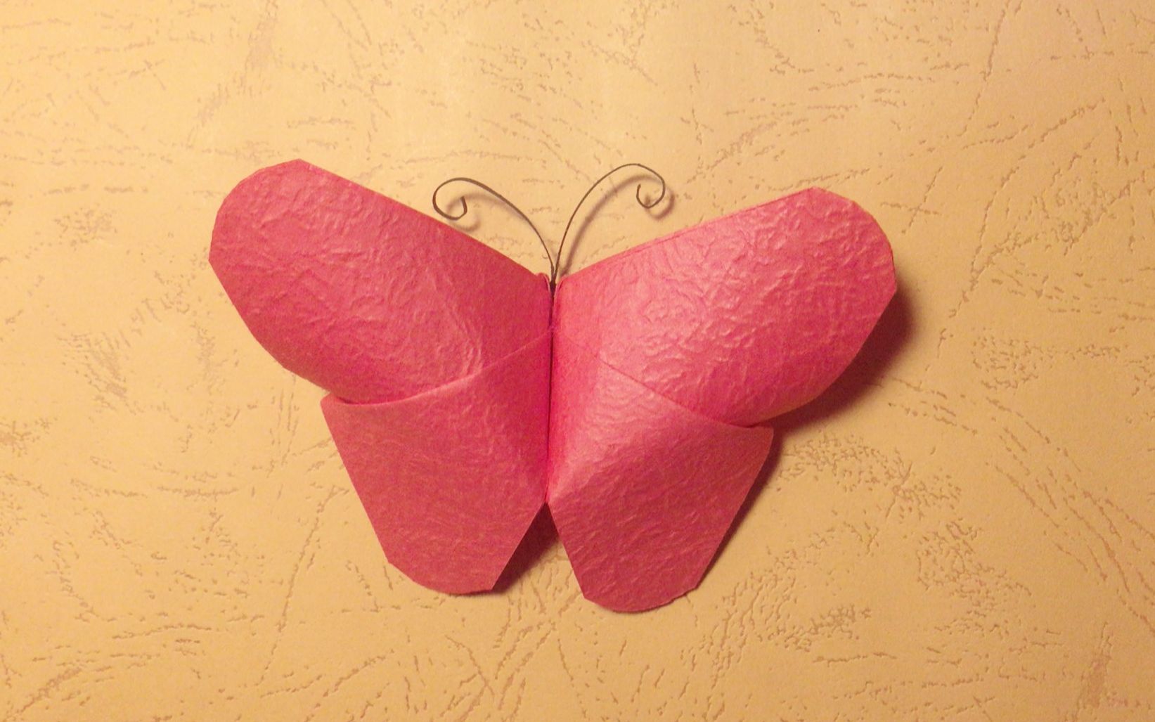 教你折一只漂亮的小蝴蝶,制作过程非常简单,最后一步最关键!手工折纸