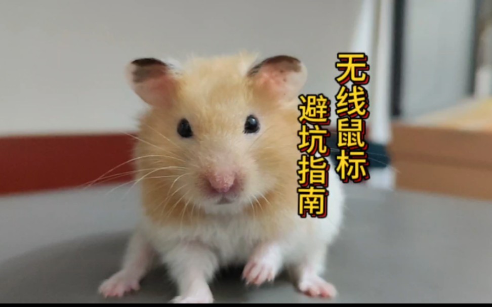 我的无线鼠标好像坏了,没法开机,怎么办家人们,在线等,挺急的!