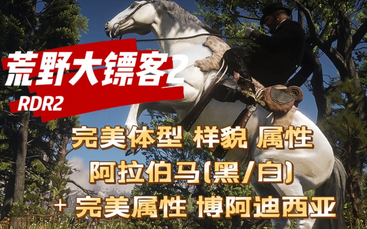 荒野大镖客2mod 马匹mod 最完美高大的阿拉伯黑白马和满属性的博...