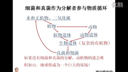 ...(初二)生物上册第四章细菌和真菌 第四节 细菌和真菌在自然界中的作用
