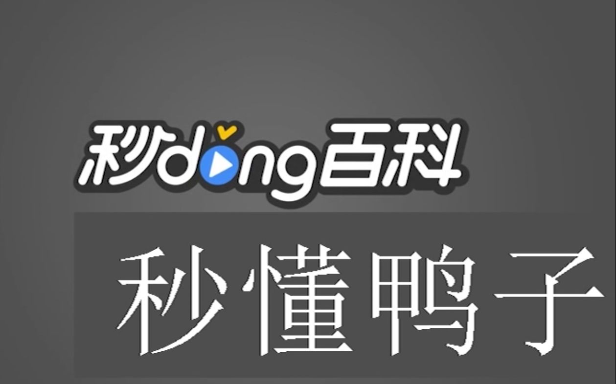 秒懂鸭子，世界如此简单