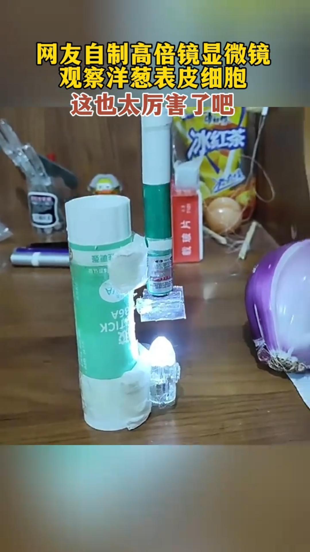 网友自制显微镜,观察洋葱表皮细胞,果然高手在民间