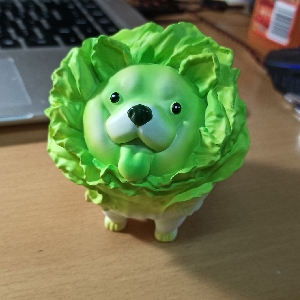 kuiperTony 