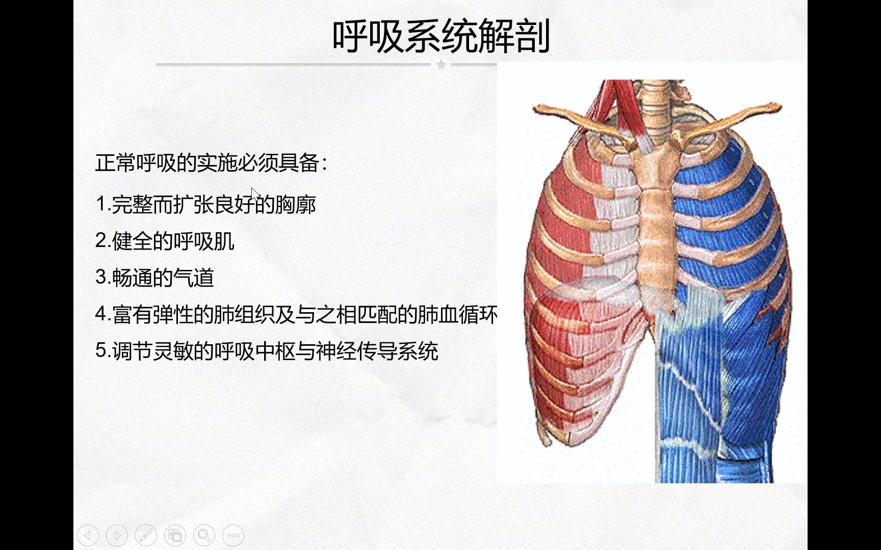 心肺物理治疗技术(呼吸康复)临床应用小讲课分享1.0