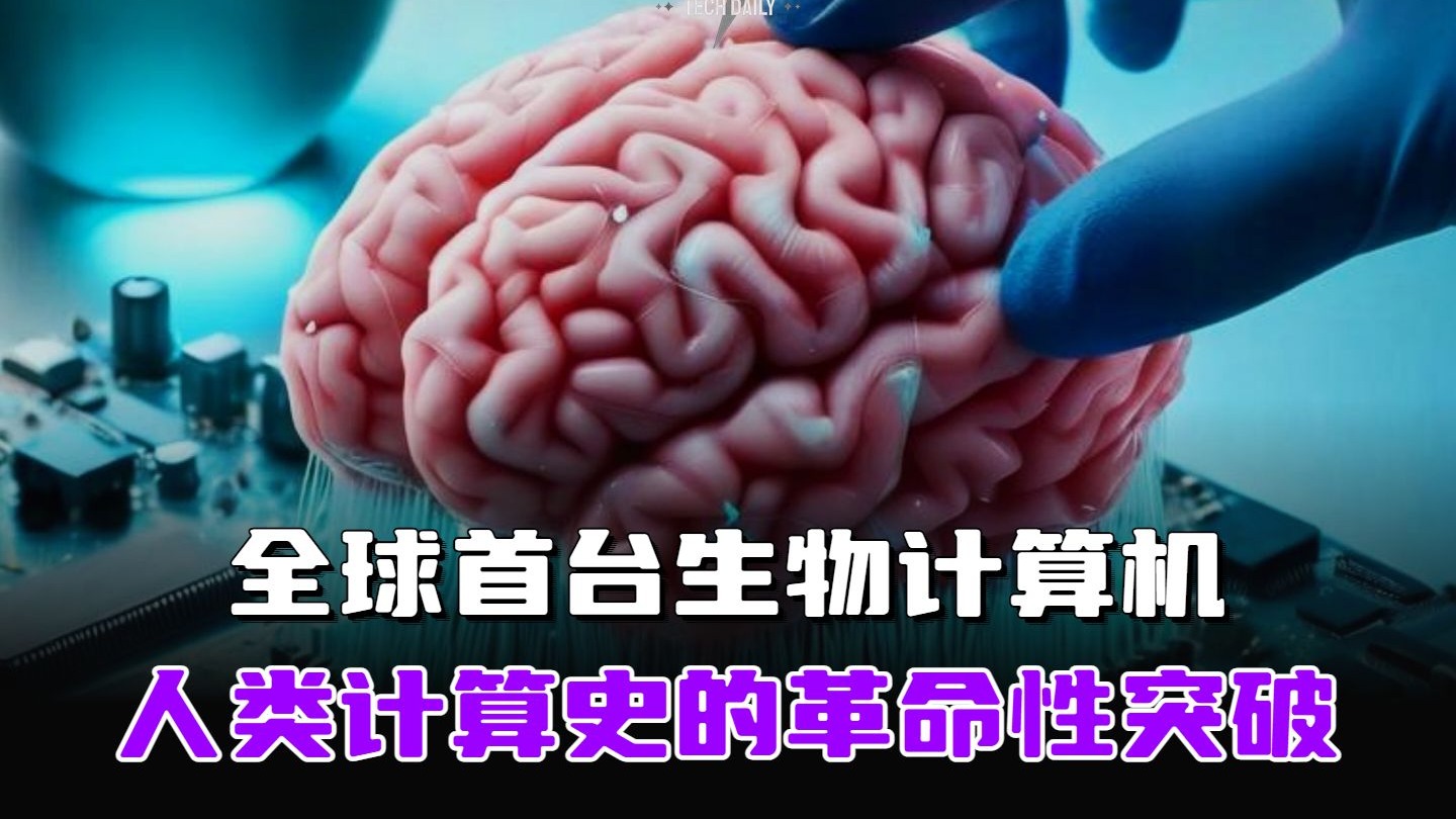 全球首台生物计算机,人类计算史的革命性突破