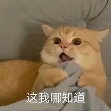 吃个饼子吧 