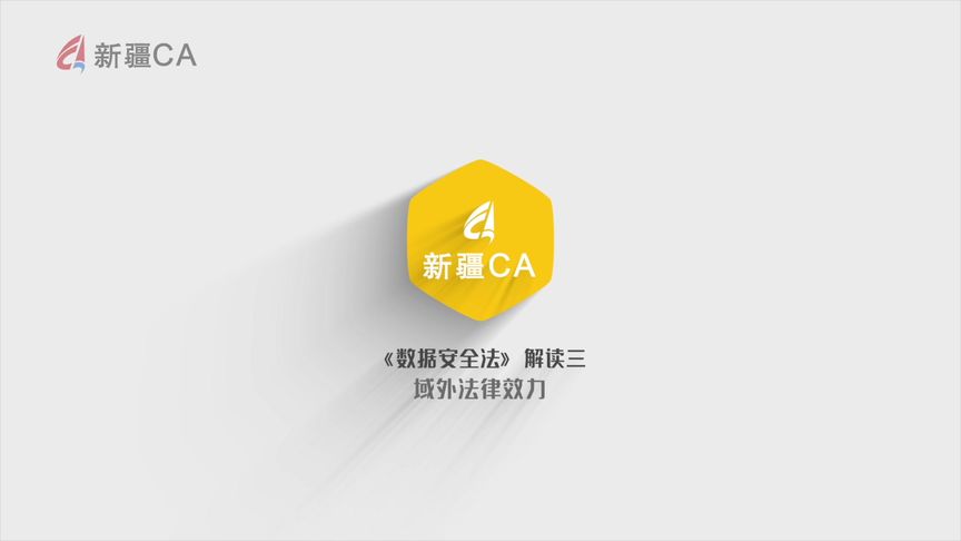 一起来学习《数据安全法》中我国数据保护的境外法律效力吧!