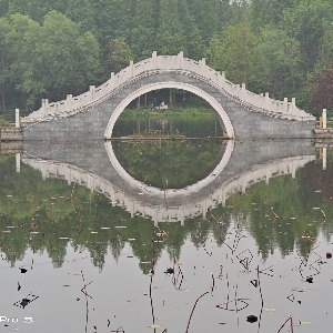 幸福快乐胖胖 