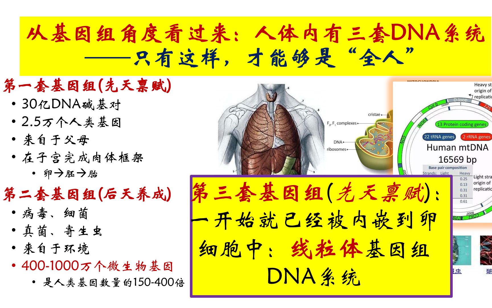 人体内合理共生的三套DNA遗传编码系统为生态学哲学提供了直接的...