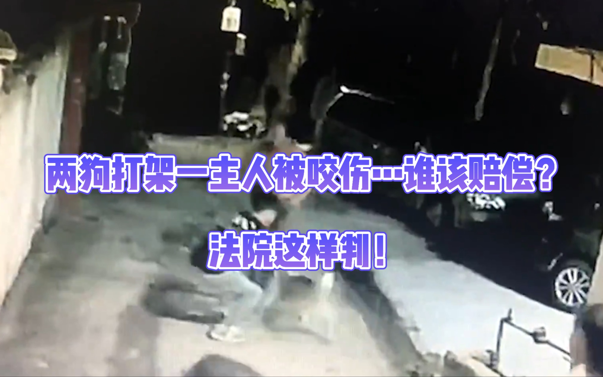 两狗打架一主人被咬伤…谁该赔偿?法院这样判!