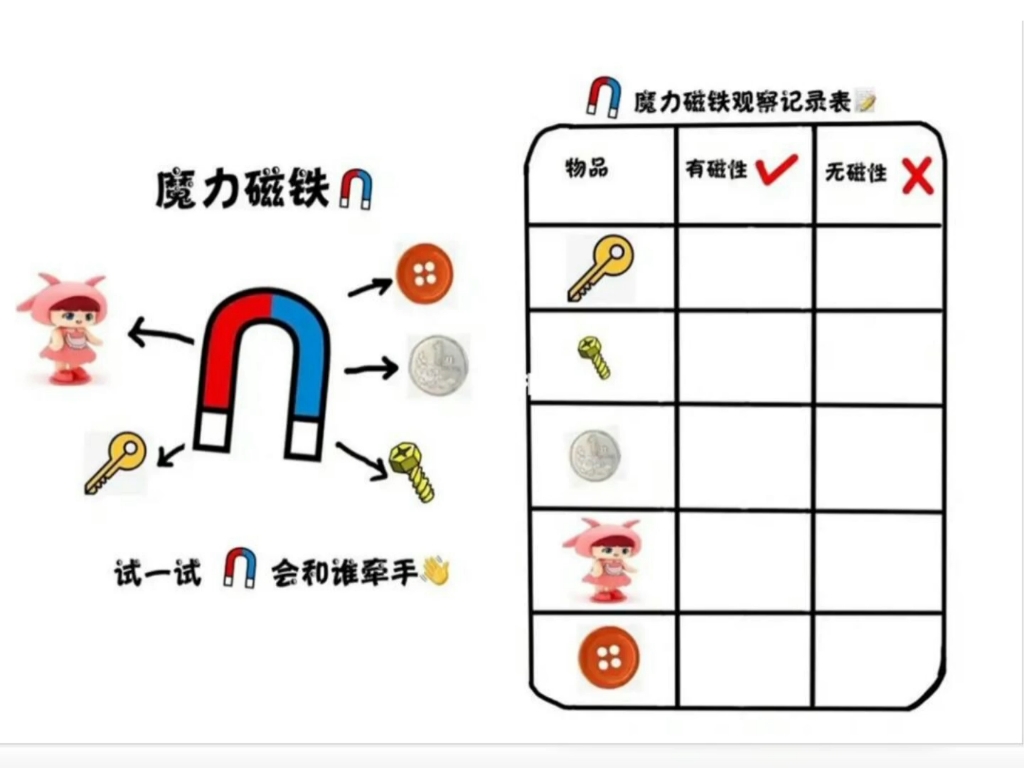 幼儿园中大班科学区操作区记录单操作单 幼儿园中大班科学区的操作...