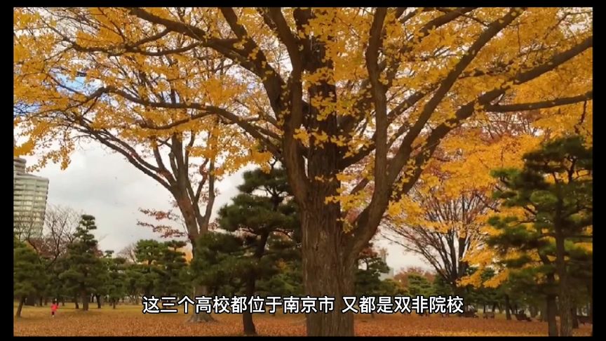 南京邮电大学、南京工业大学、南京信息工程大学怎么选?