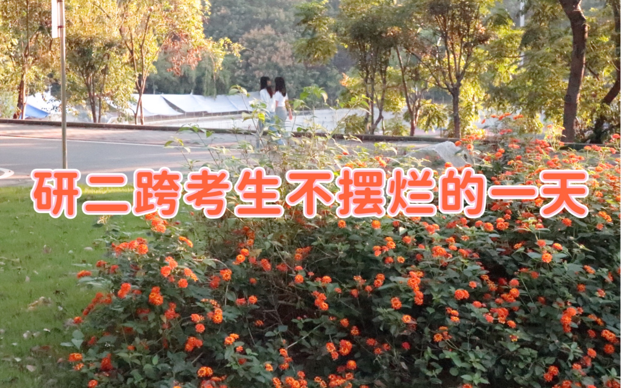 研二记录|vlog1|图书馆|网课|读书会准备|日均5000步