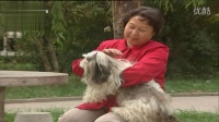 中小学安全教育 安全在家 第五集小心宠物