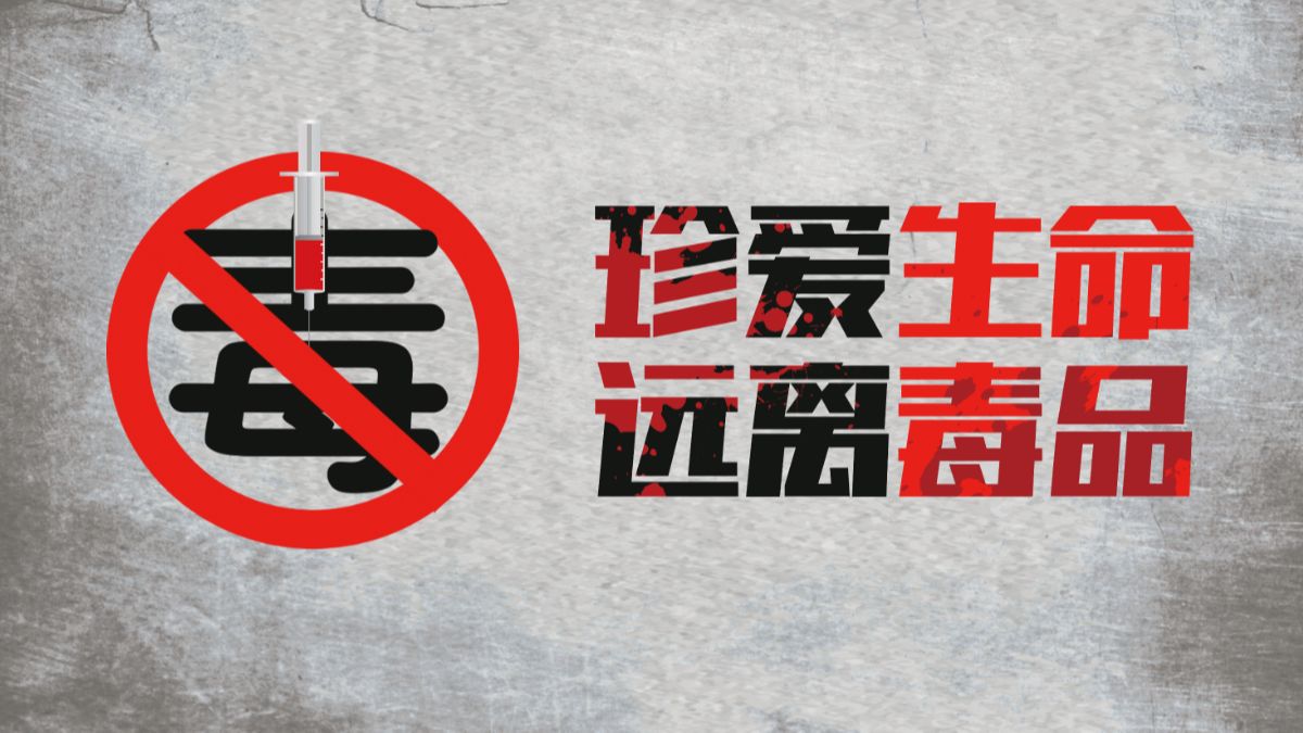 简约626国际禁毒日公益宣传PPT