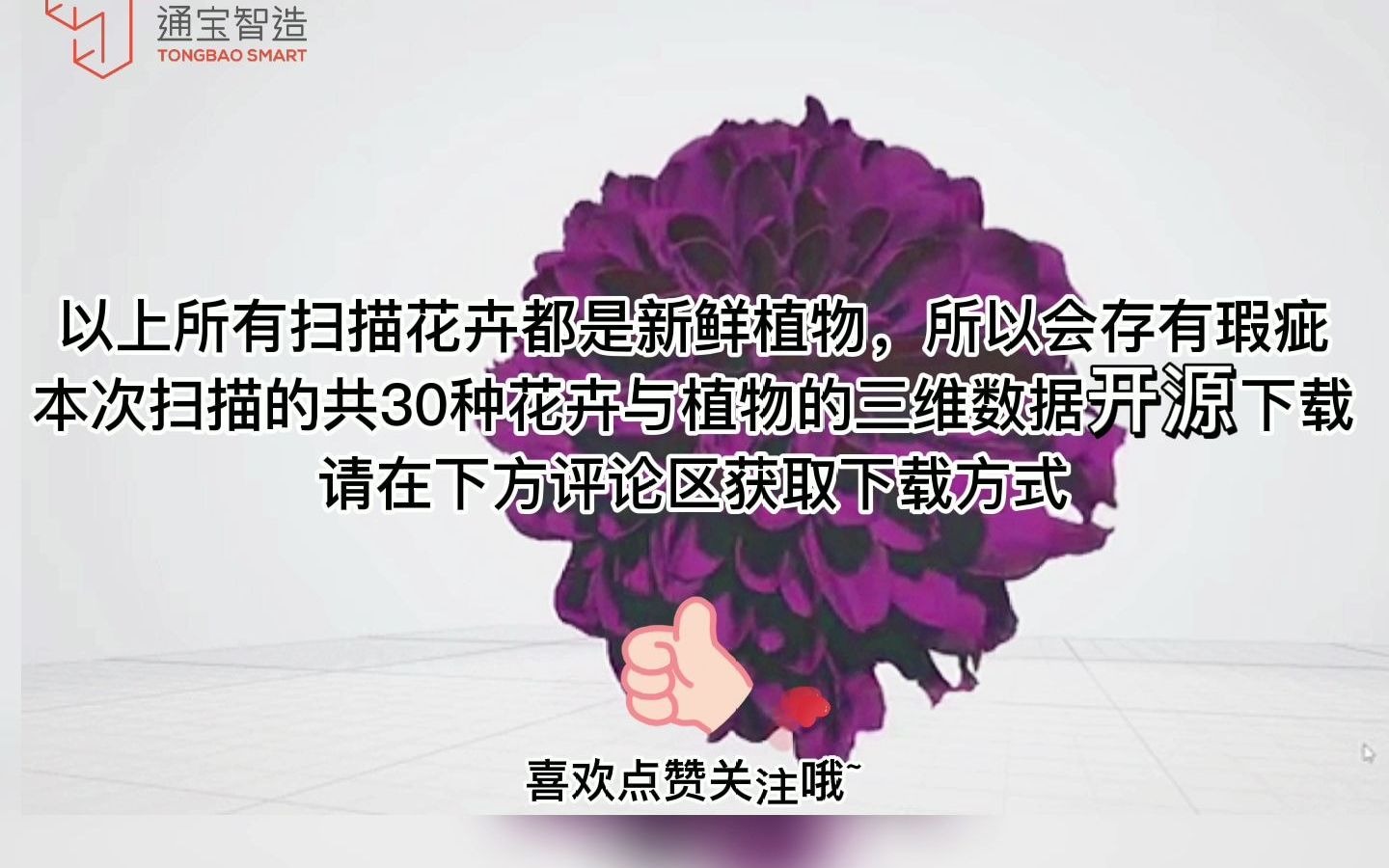 三十种植物花卉,3D扫描开源文件分享(stl格式)