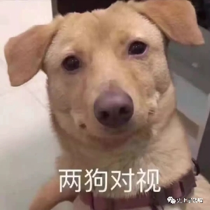 本事小脾气大GG 