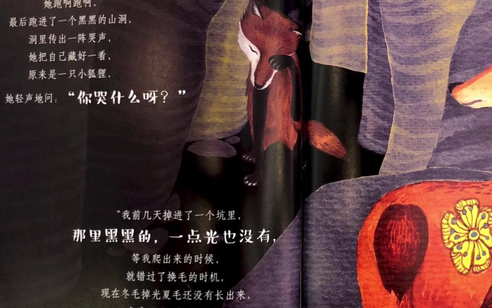 小宇宙绘本电台第二十三期:《目光森林》丨本期主播:凯迪姐姐