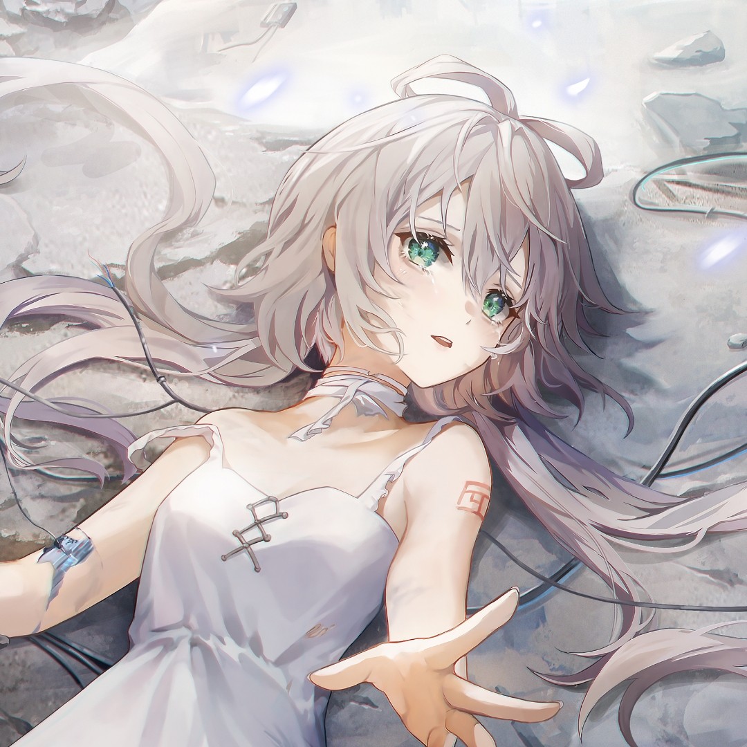 络华_Hailty 