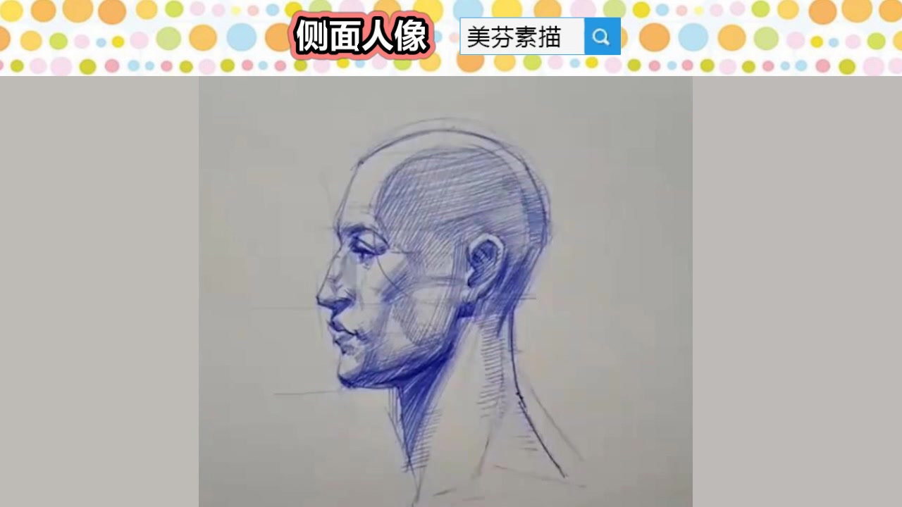 人像素描基础学习:人物素描侧面人脸五官比例的画法技巧!
