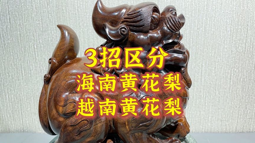 海南黄花梨和越南黄花梨区别明显吗?各自有什么特点,如何区别?