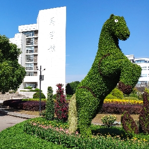力量解决13 