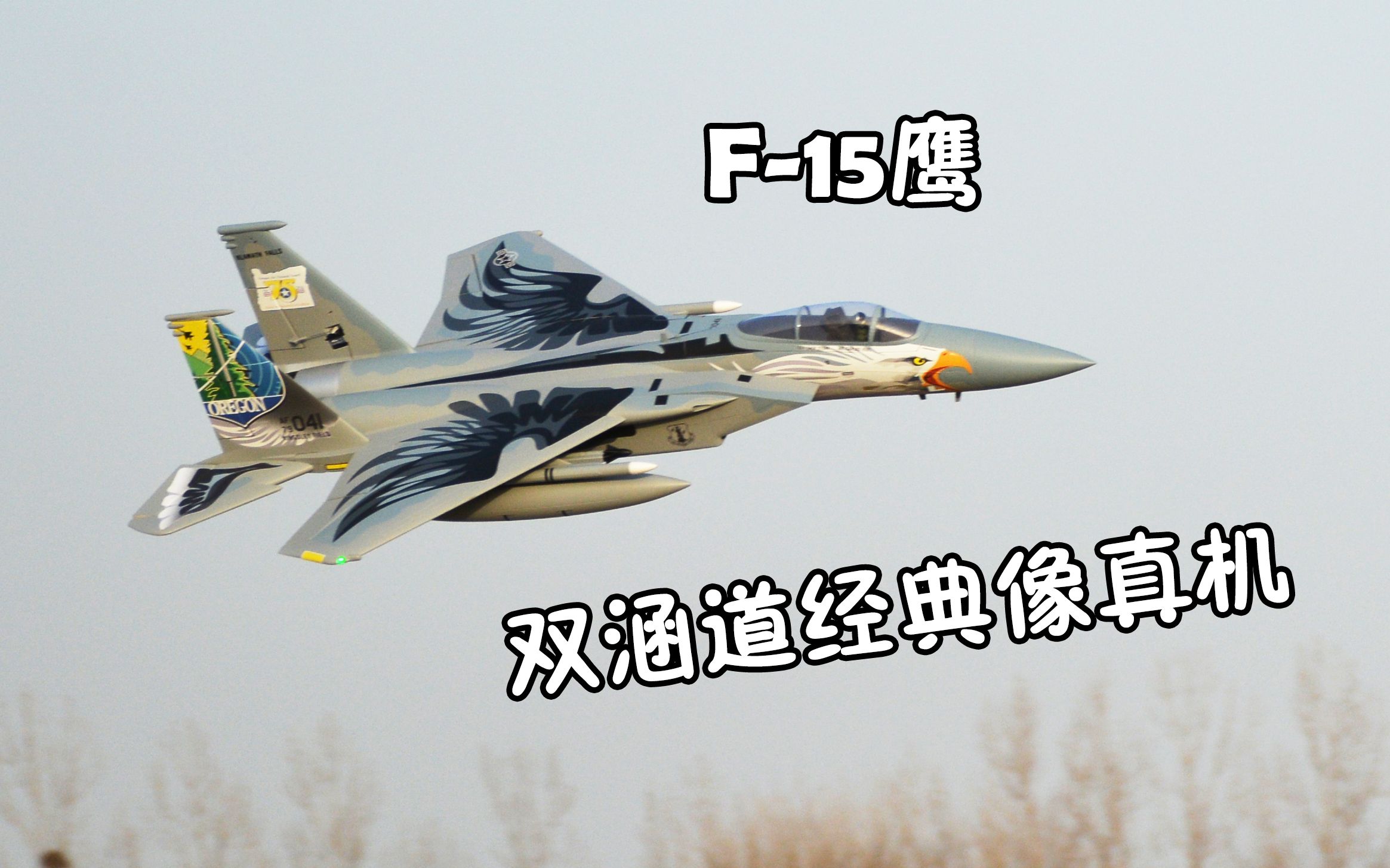 【航模测评】经典机型F-15,超好飞的双64涵道蓝箭航模像真机